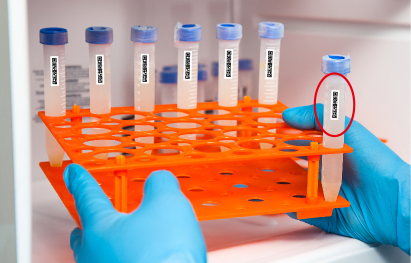 DENSO WAVE Develops “rMQR Code”, a new rectangular QR Code that can even be printed in long ...